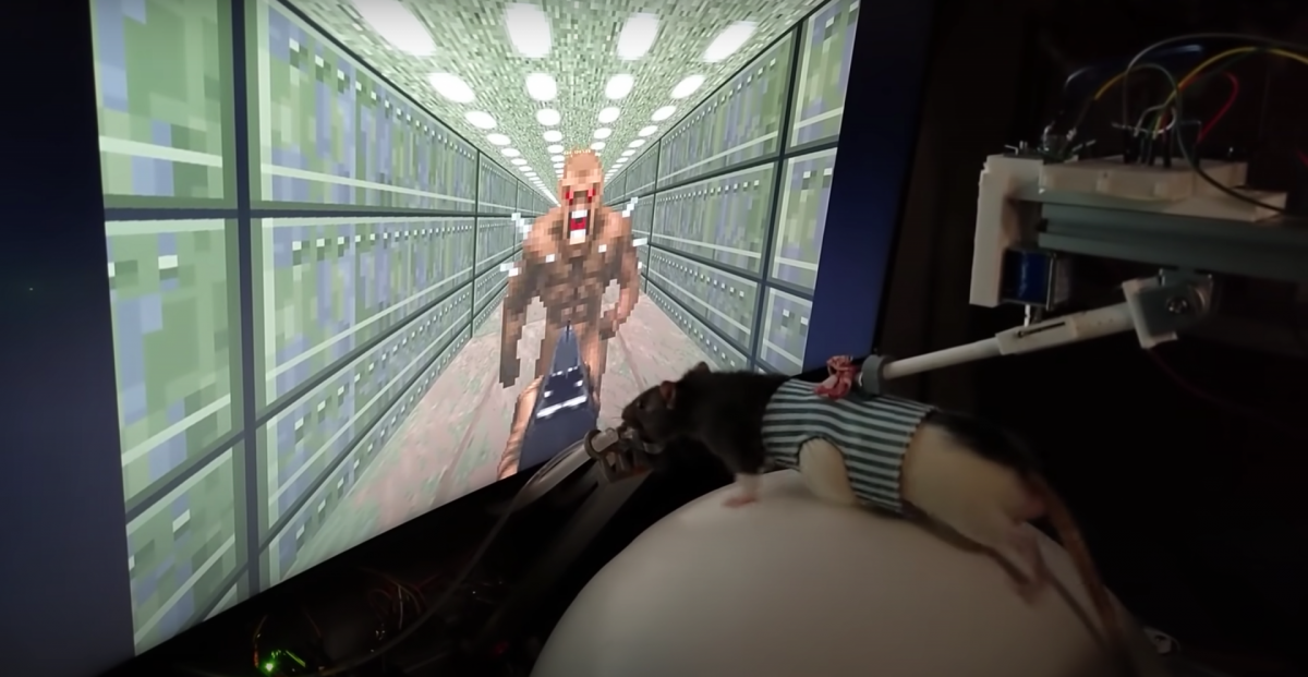 Somebody Trained Rats to Play DOOM II Using a Mini 'VR' Rig - Nerdist