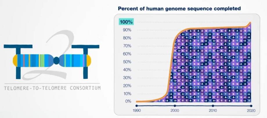 The Human Genome Is Finally Fully Sequenced - Nerdist