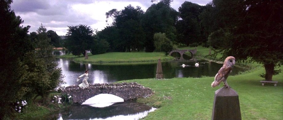 Baby Owls Sleep on Their Tummies, RIP Me - Nerdist