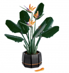 LEGO Adds Succulents and Orchid to Its Flowery Collection - Nerdist