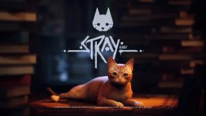 STRAY, the Video Game You Play as a Cat, Is Out Now - Nerdist