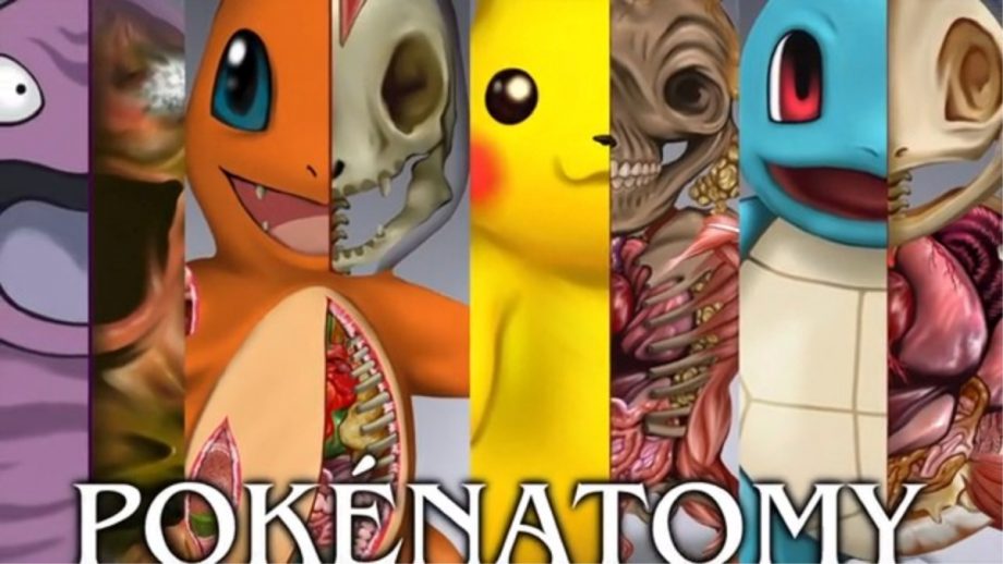 Artist Shares Anatomy Lessons Using POKÉMON - Nerdist