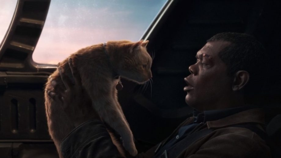 LIGHTYEAR's Sox Is the Latest Cat in Space to Win Our Hearts - Nerdist