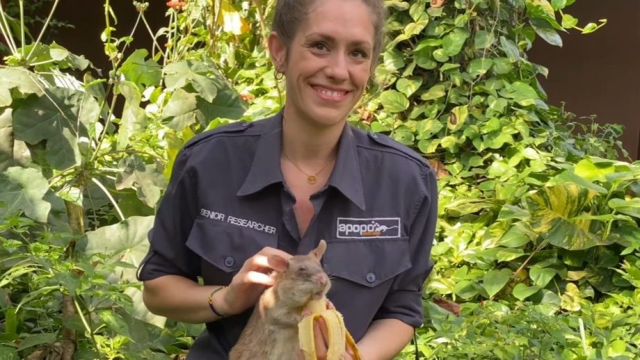 Backpack-Wearing Rats Could Save Your Life - Nerdist