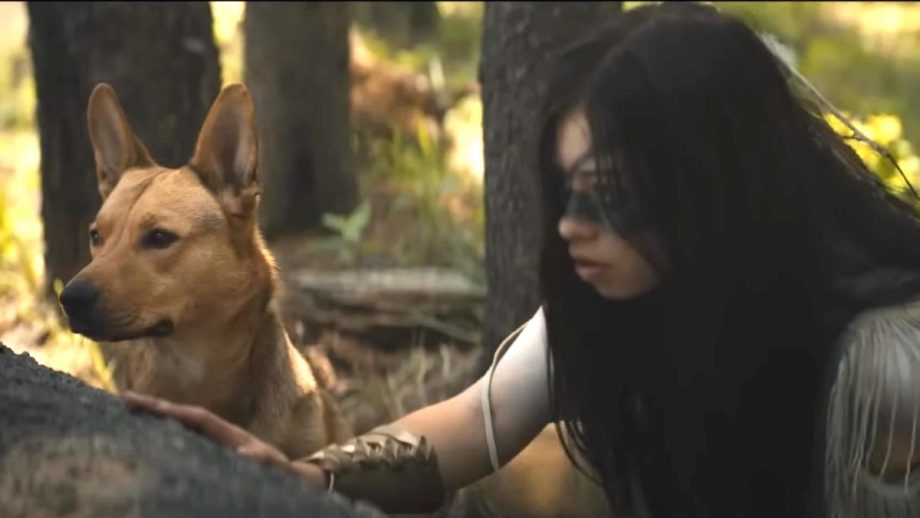 PREY's Doggo Sidekick Is a Rescue Pup Named Coco - Nerdist