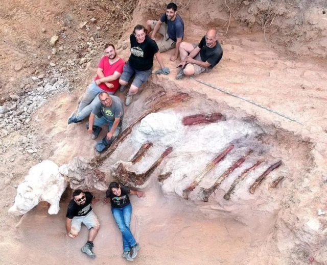 Someone Found These Incredible Fossilized Dinosaur Ribs in Their ...