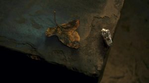 Why the Elves Want Mithril on THE RINGS OF POWER - Nerdist