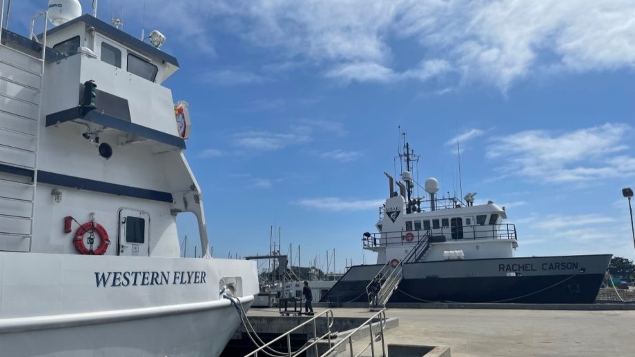 Exploring MBARI and the Tech Behind Deep Sea Videos - Nerdist