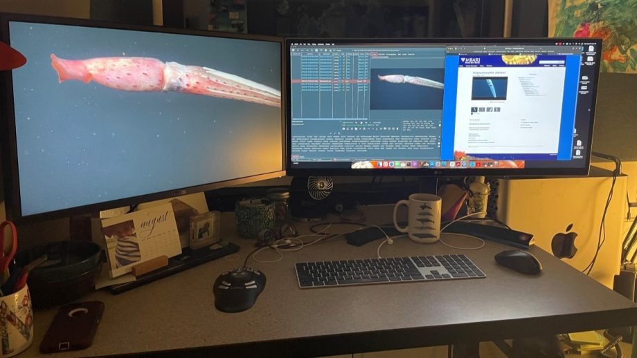 Exploring MBARI and the Tech Behind Deep Sea Videos - Nerdist