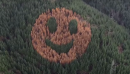 A Smiley Face Emerges in This Oregon Forest Every Autumn - Nerdist