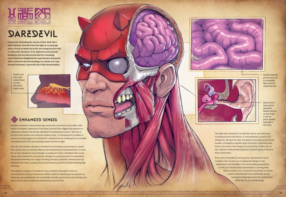 MARVEL ANATOMY Book Illustrates The Science Of Superhuman Abilities MARVEL ANATOMY Book Illustrates The Science Of Superhuman Abilities