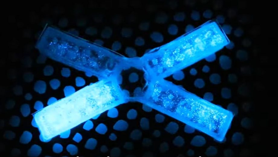 A Cello-Playing Robot Makes Music With Its Human Programmer - Nerdist