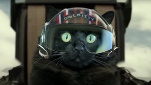 TOP GUN: MAVERICK Gets Remade with a Cat in the Pilot's Seat - Nerdist