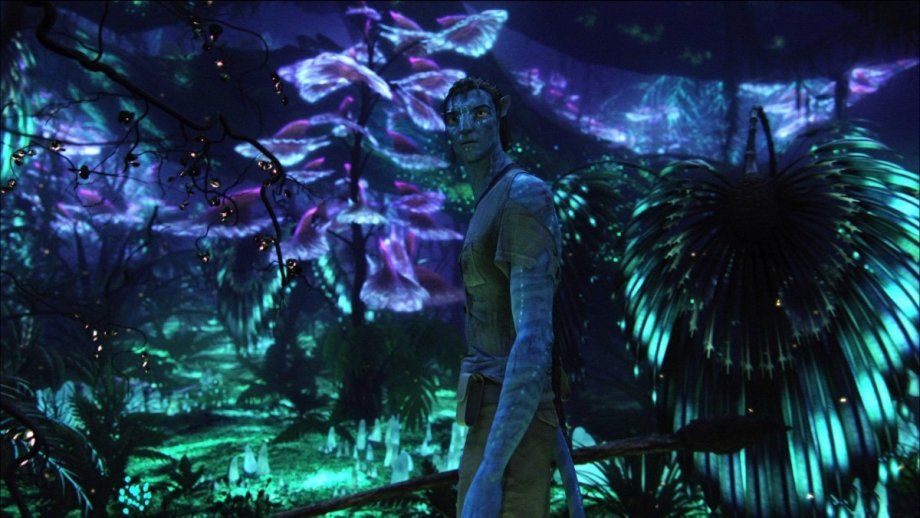 5 Things to Know About the AVATAR Franchise - Nerdist