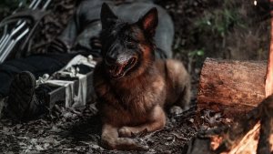 Who Survived THE WALKING DEAD Series Finale? - Nerdist