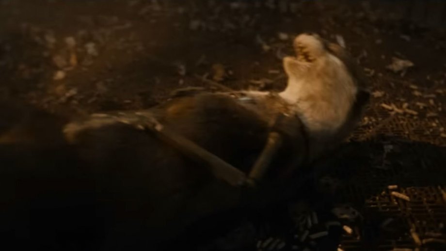 Who Is Lylla, Rocket's Otter Friend in GUARDIANS OF THE GALAXY VOL. 3 ...