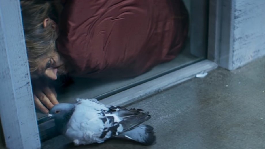 INSIDE with Willem Dafoe Is More Interesting as a Fictional Art Exhibit ...