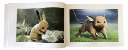 Zoology Meets POKÉMON in This Beautiful Art Book - Nerdist