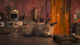 Who Is Watching Sabine Wren's Loth-Cat (You) and What Happened to ...