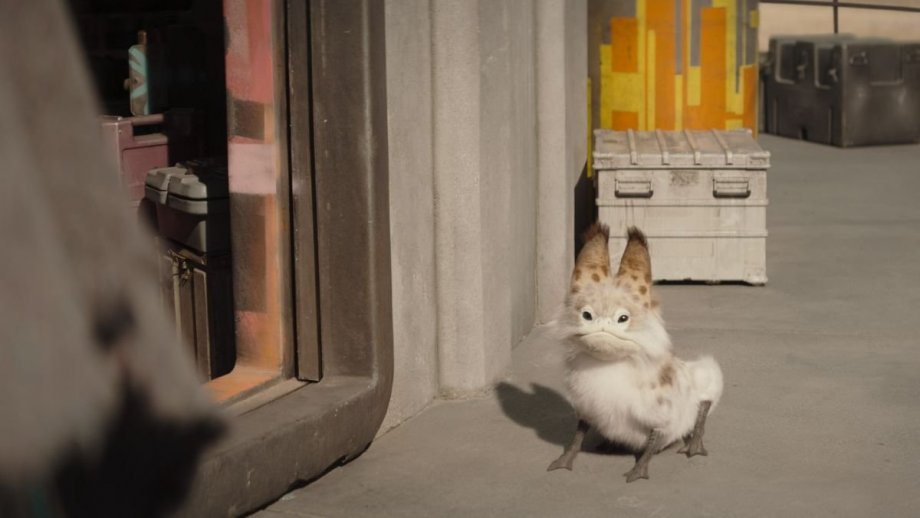 Who Is Watching Sabine Wren's Loth-Cat (You) and What Happened to ...