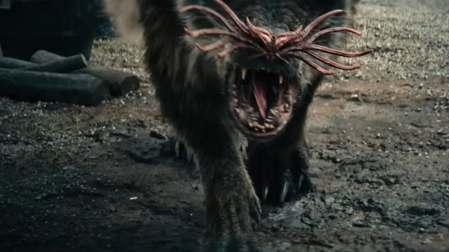 Every Cool Creature and Spirit From AVATAR: THE LAST AIRBENDER's Live ...