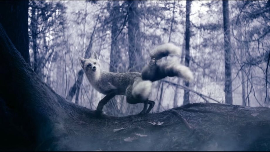 Every Cool Creature and Spirit From AVATAR: THE LAST AIRBENDER's Live ...