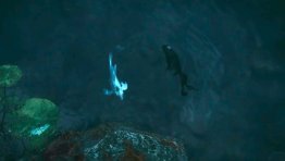 Every Cool Creature and Spirit From AVATAR: THE LAST AIRBENDER's Live ...