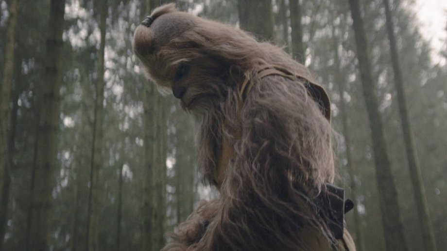 THE ACOLYTE's Wookiee Jedi, Explained - Nerdist