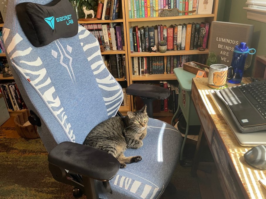 Secretlab's TITAN Evo Gaming Chair Brings Ahsoka Tano to My Office ...