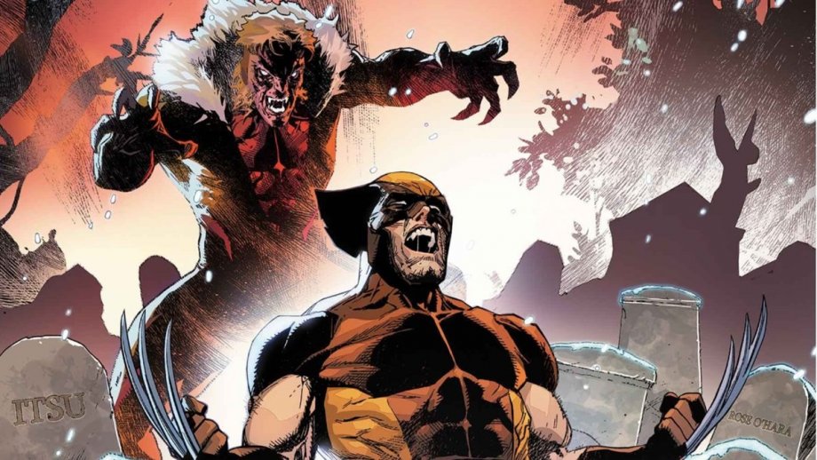 Sabretooth, Logan's Feral Enemy in DEADPOOL & WOLVERINE, Explained ...