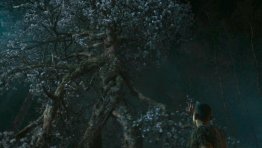 The Loss of LOTR's Entwives Is Much Sadder After Their THE RINGS OF ...