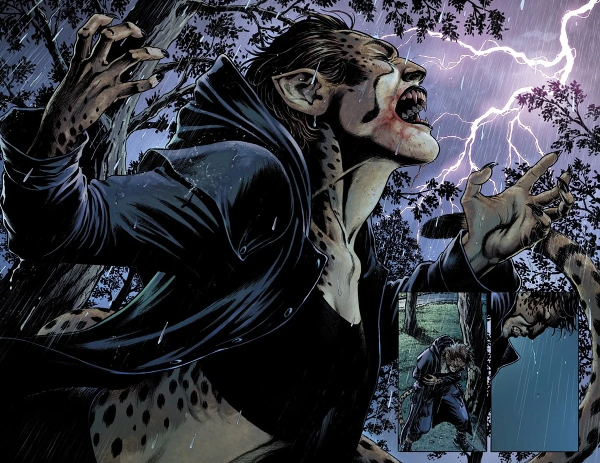 DC's Feline Felons Join Forces in CHEETAH AND CHESHIRE ROB THE JUSTICE ...